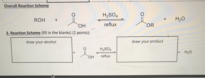 Solved Overall Reaction Scheme H2SO4 ROH + OH- reflu + H2O | Chegg.com