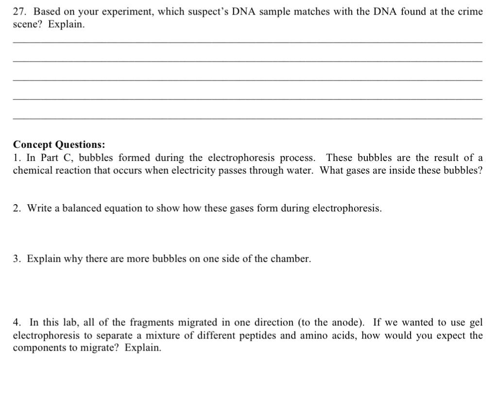 Solved 27. Based on your experiment, which suspect's DNA | Chegg.com