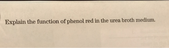 Solved Explain the function of phenol red in the urea broth | Chegg.com