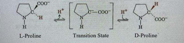 Solved The reaction catalyzed by proline racemase from | Chegg.com