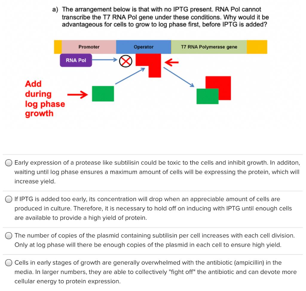 Solved T7 Promoter Lac Operator Plasmid with apr gene 7235 | Chegg.com