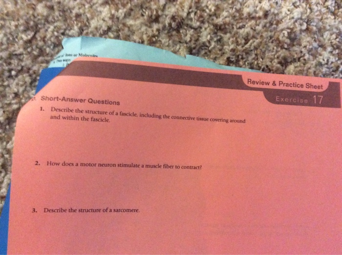 Solved Review & Practice Sheet xercise Short-Answer | Chegg.com Solved Review & Practice Sheet xercise Short-Answer | Chegg.com