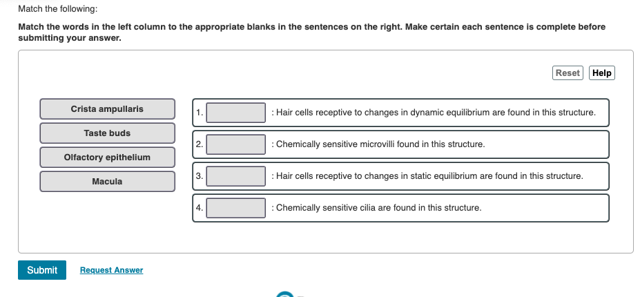 Solved Match The Following Match The Words In The Left Chegg