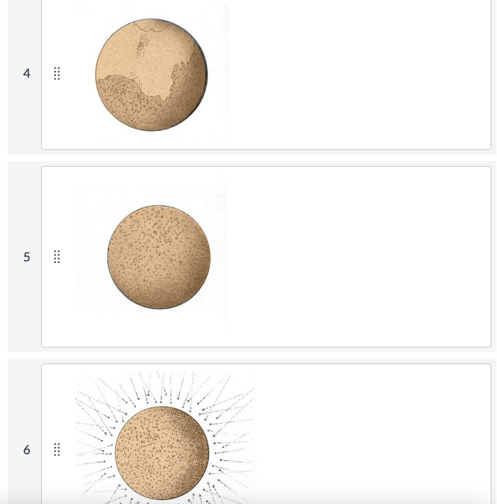 Solved These diagrams show the history of Mars, but they are | Chegg.com