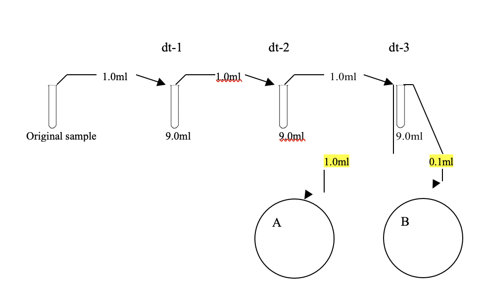 Solved What is the dilution factor for the first dilution | Chegg.com