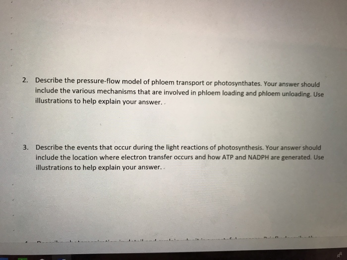 Solved 2. Describe the pressure-flow model of phloem | Chegg.com