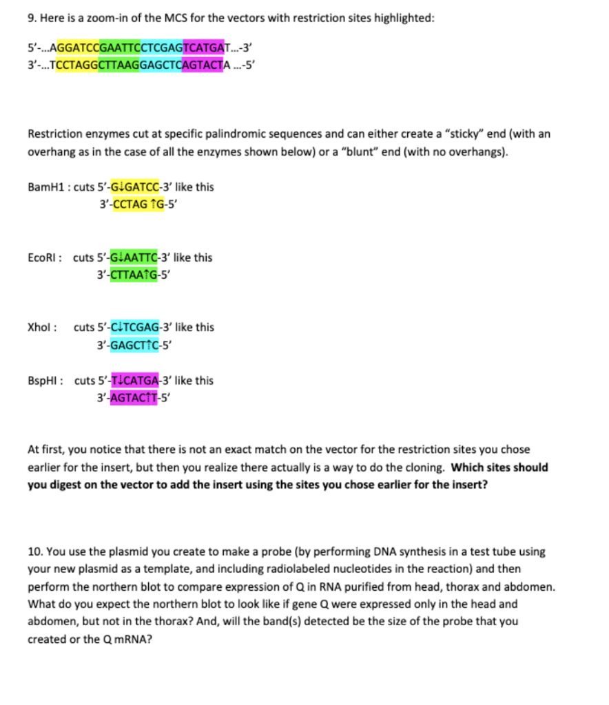 Solved 9. Here is a zoom-in of the MCS for the vectors with | Chegg.com