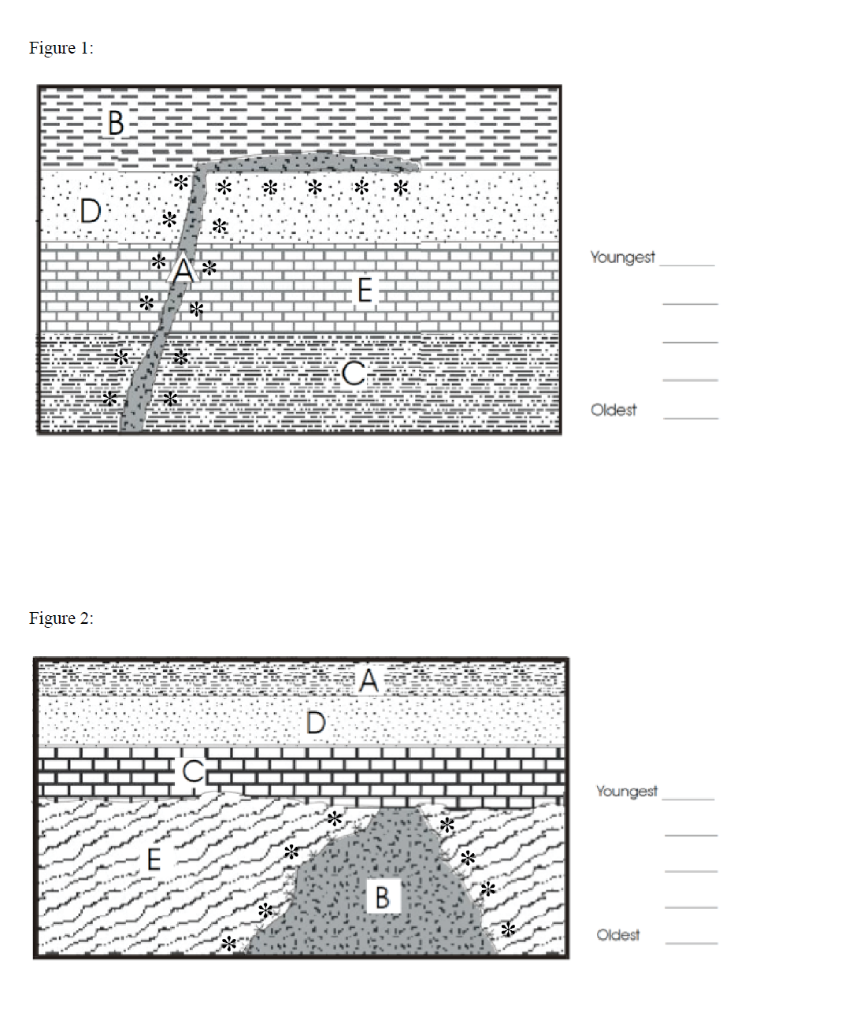 Solved TIME & GEOLOGY LAB OLDER 43 OLDEST A Relative Age | Chegg.com