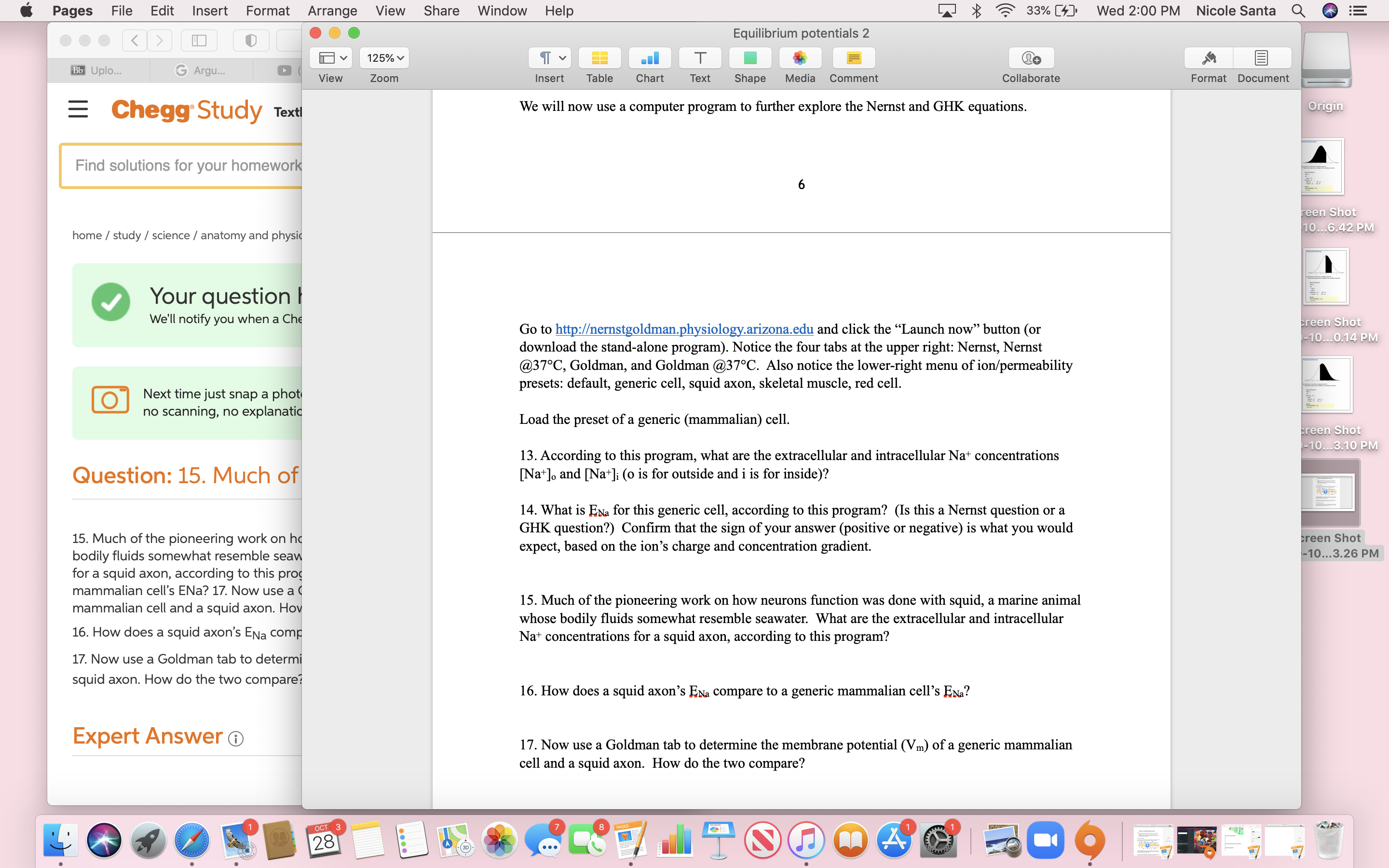 Pages File Edit Insert Format Arrange View Share | Chegg.com