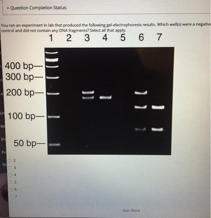 Solved Question Completion Status: You ran an experiment in | Chegg.com