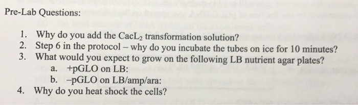 Solved Why do you add the CacL_2 transformation solution? | Chegg.com