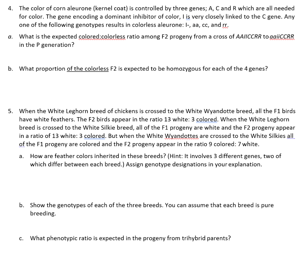 Solved 4. The color of corn aleurone (kernel coat) is | Chegg.com