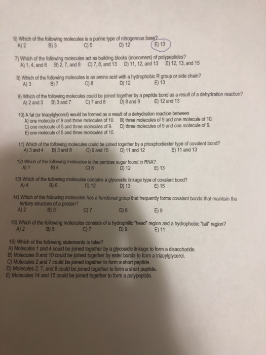 Solved BIOL1111 General Biology I Laboratory Assignment 2 | Chegg.com