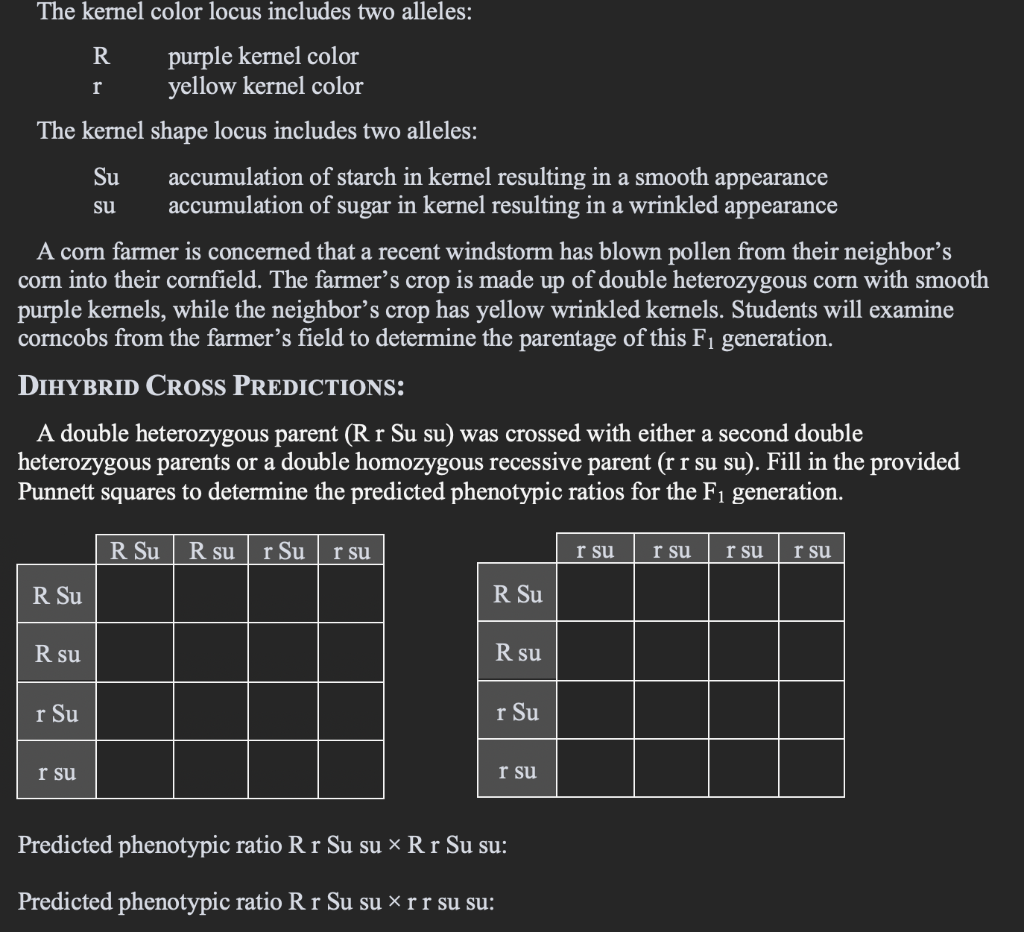 Solved R r su The kernel color locus includes two alleles: | Chegg.com