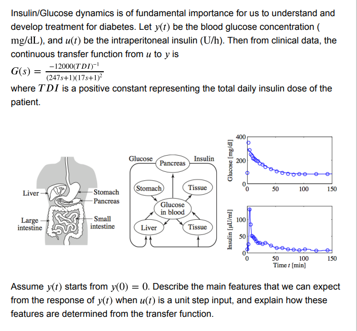 Solved Insulin/Glucose dynamics is of fundamental importance | Chegg.com