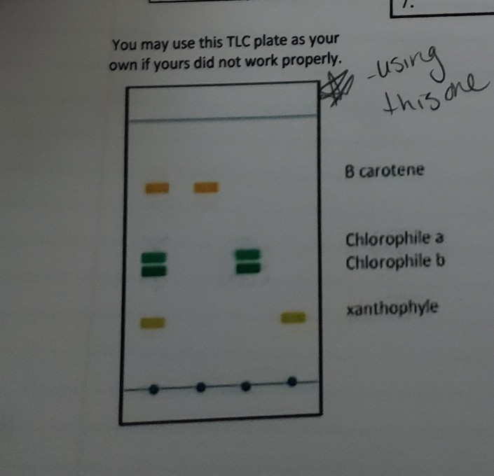 Solved from hexane to during column Show your calculation | Chegg.com