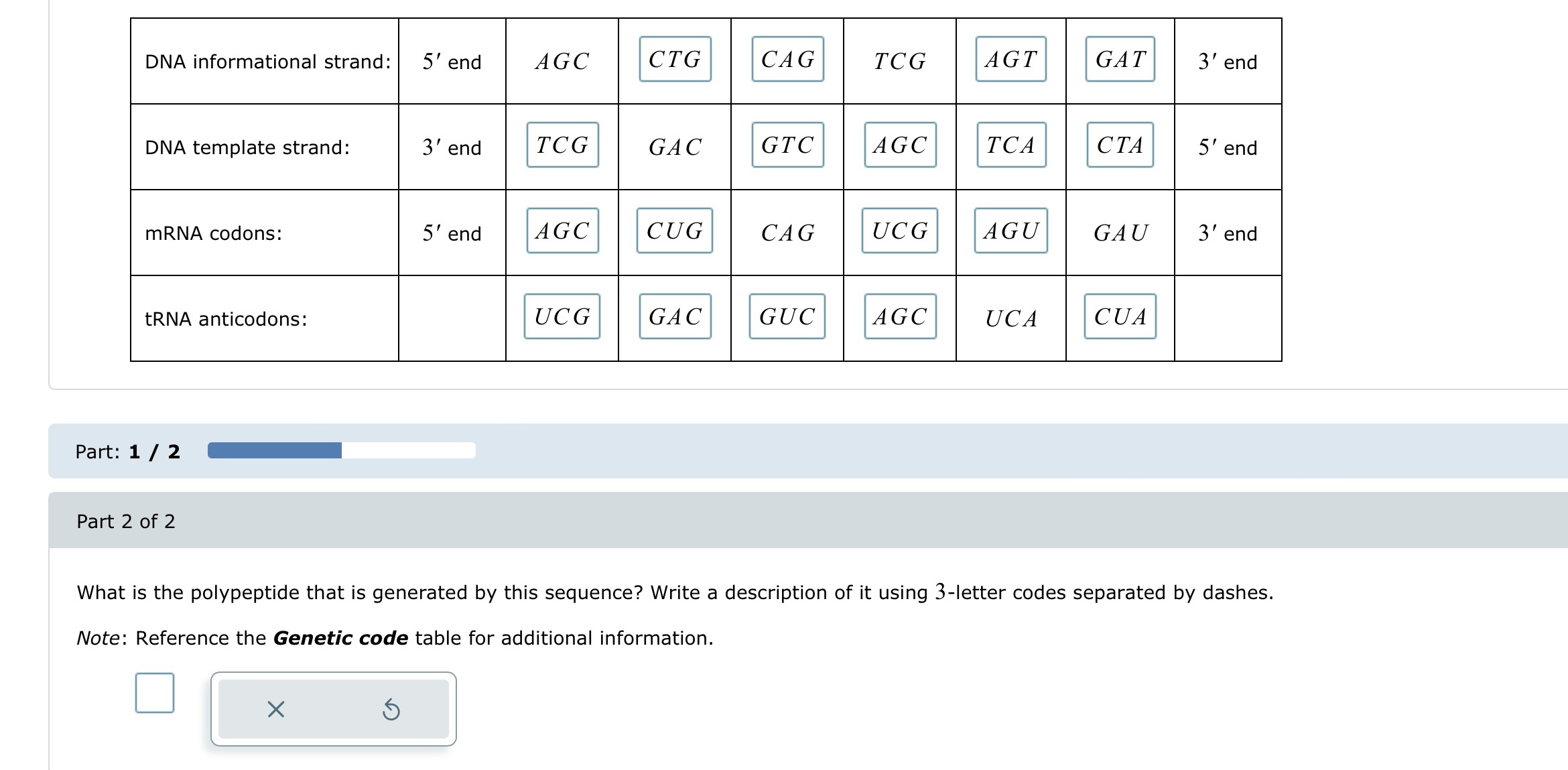 Solved Part 2 ﻿of 2What is the polypeptide that is generated | Chegg.com