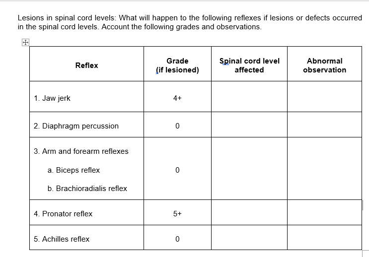 Solved Lesions in spinal cord levels: What will happen to | Chegg.com