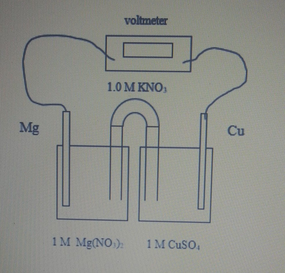 Solved 1. In the electrochemical cell below, the best | Chegg.com