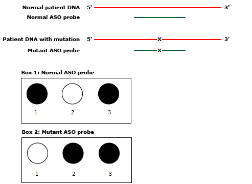 Solved The following is ASO analysis for Cystic Fibrosis, | Chegg.com