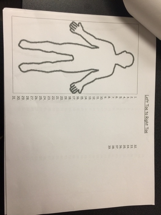 Solved Trace the blood flow of a drop of blood! Use red for | Chegg.com