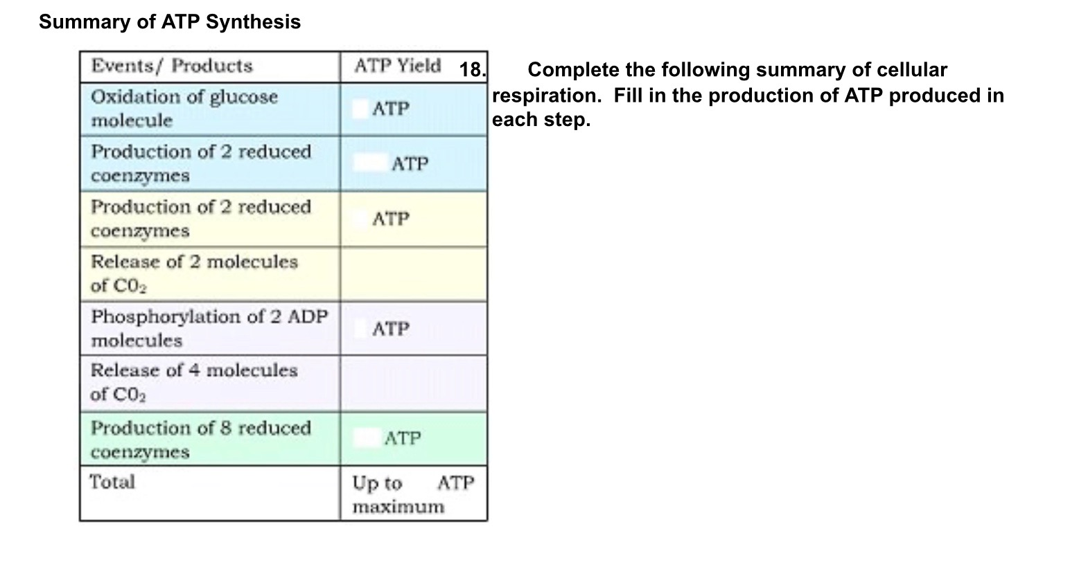Solved Summary of ATP Synthesis ATP Yield 18. Complete the | Chegg.com