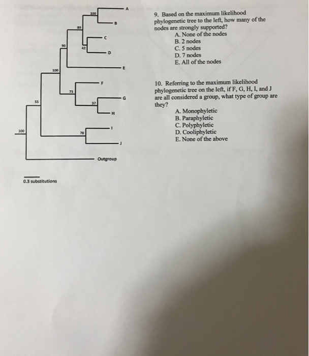 Solved Based on the maximum likelihood phylogenetic tree | Chegg.com