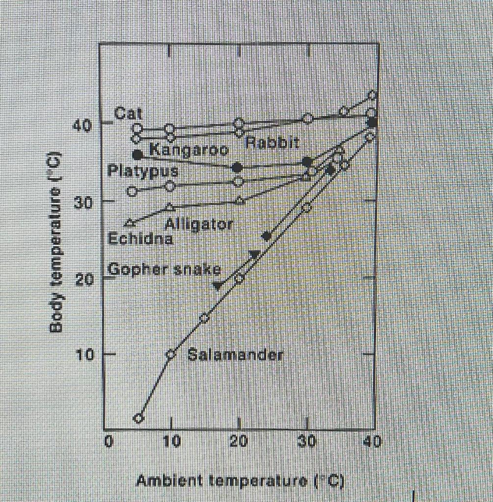 Solved Refer to the graph below that shows body temperature | Chegg.com