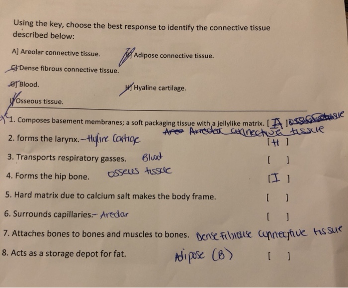 Solved Using the key, choose the best response to identify | Chegg.com