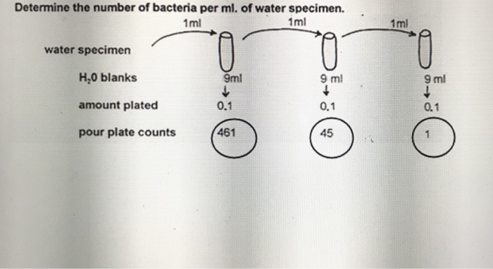 Solved Determine the number of bacteria per ml. of water | Chegg.com