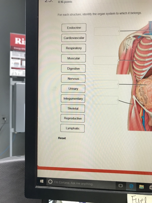 Solved Homework- Chapter 1- Introduction to Anatomy and | Chegg.com