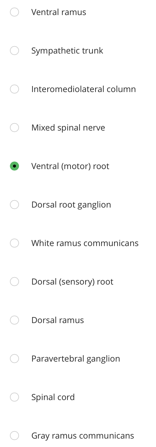 Solved Ventral ramus Sympathetic trunk Interomediolateral | Chegg.com
