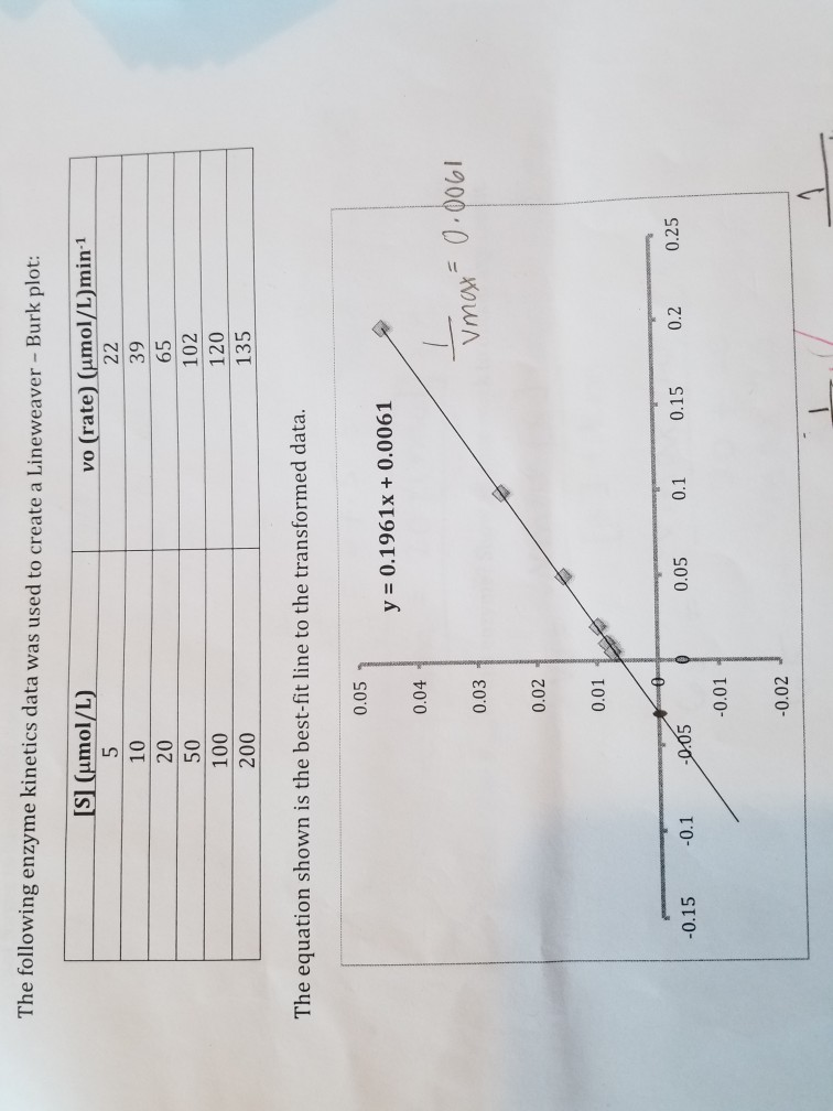 Solved he following enzyme kinetics data was used to create | Chegg.com