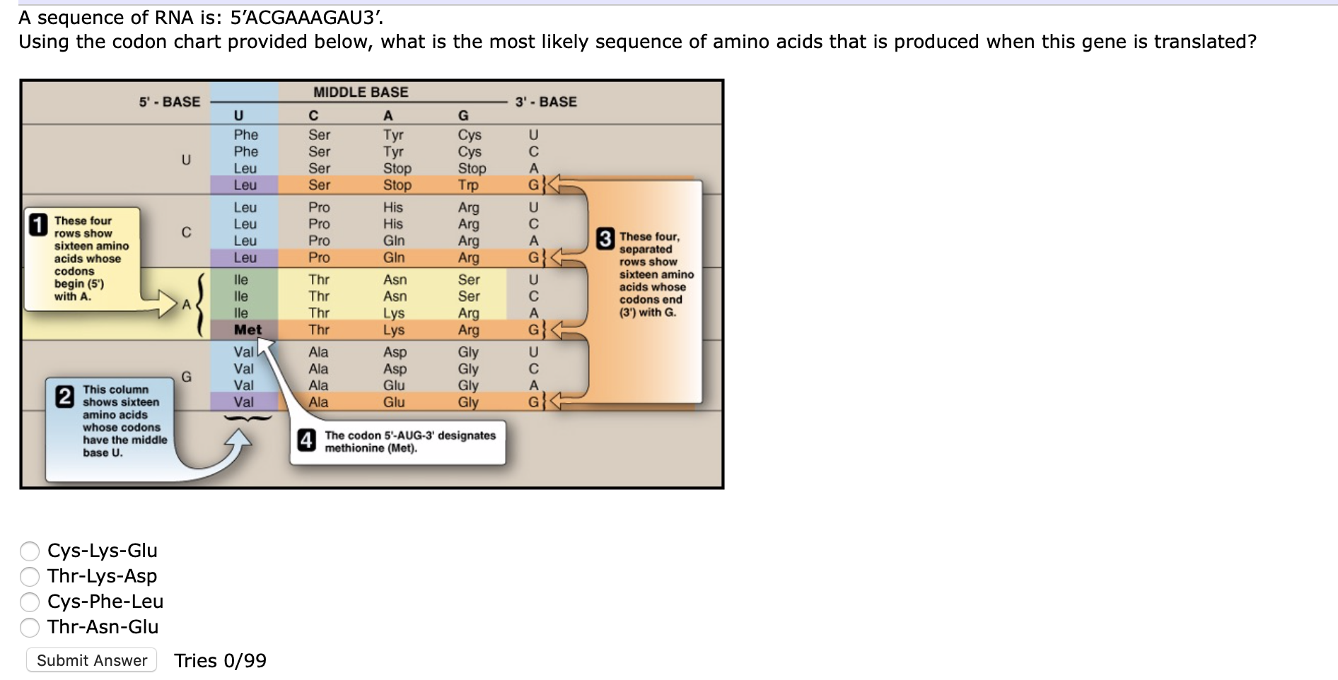 Rna Sequence Chart
