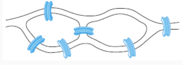 Solved Consider the six bridges graph. How many vertices | Chegg.com