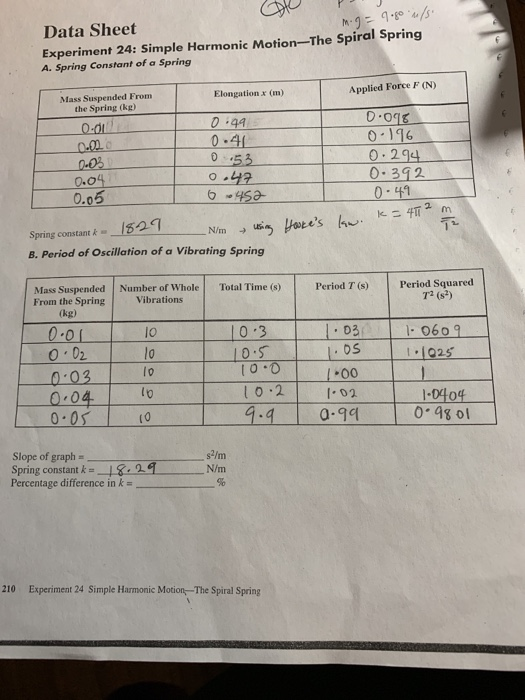 Simple Harmonic Motion Spring