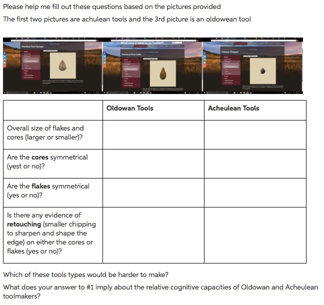 Oldowan Tools. Acheulean Tools. Overall | Chegg.com