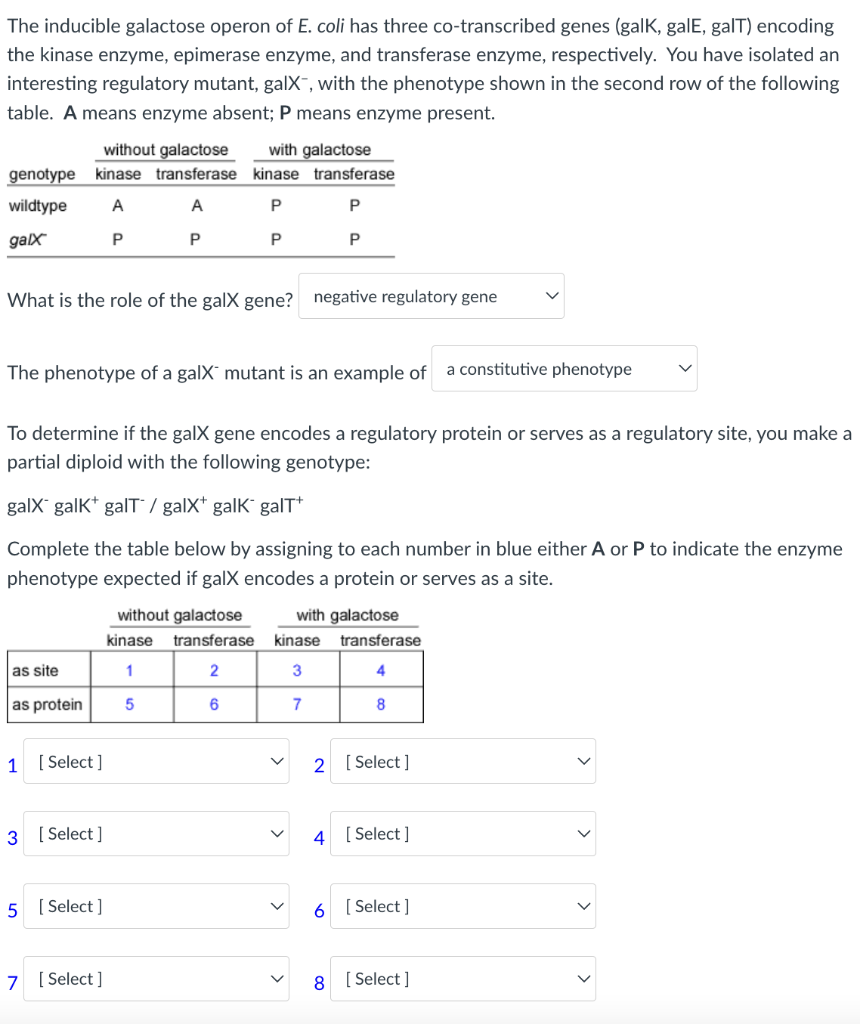 Solved Options for Q1) Negative Regulatory Gene, Positive | Chegg.com