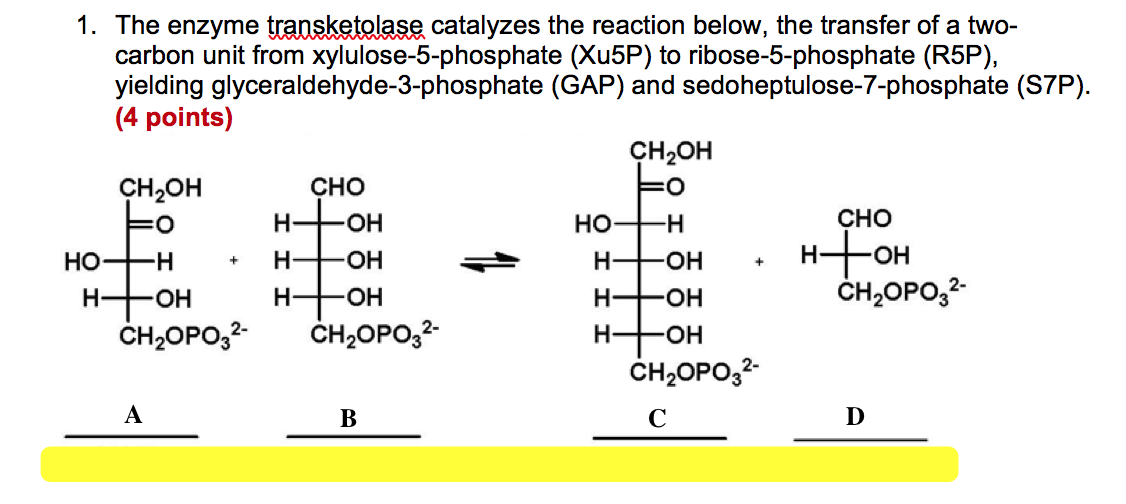 Solved From the image below: Which pentose sugar does not | Chegg.com