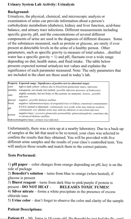 Solved Urinary System Lab Activity: Urinalysis Background | Chegg.com