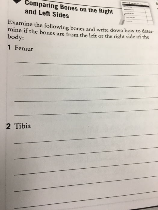Solved Comparing Bones on the Right- and Left Sides Examine | Chegg.com