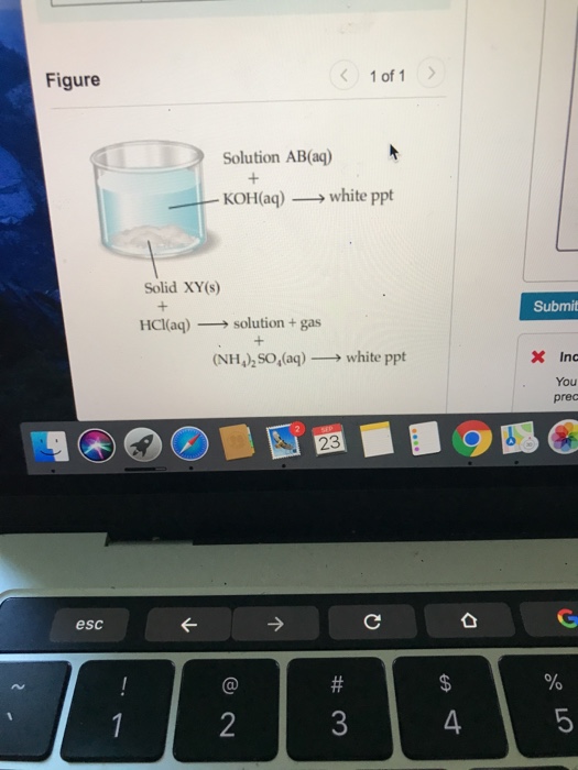 Solved Figure 1 of 1 Solution AB(aq) KOH(aq) → white ppt | Chegg.com