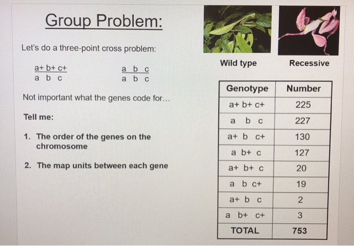 Solved Group Problem: Let's do a three-point cross problem: | Chegg.com