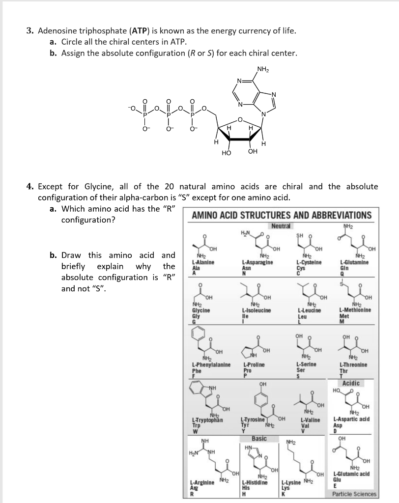 Solved 3. Adenosine triphosphate (ATP) is known as the | Chegg.com