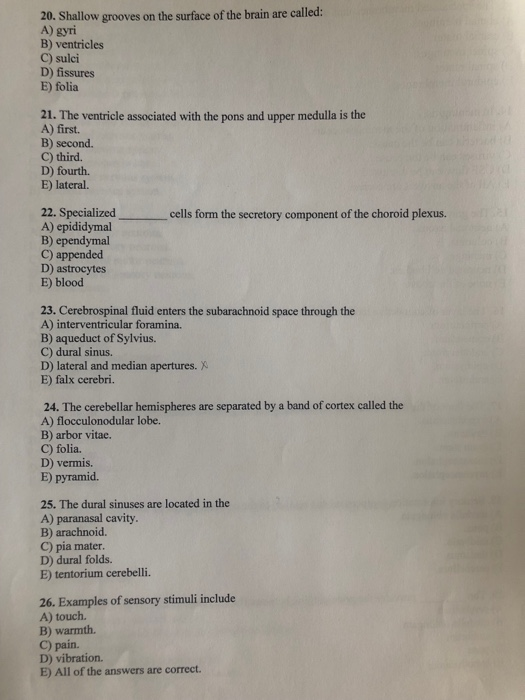 Solved 20. Shallow grooves on the surface of the brain are | Chegg.com