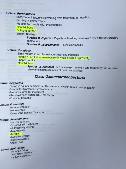 Solved Dichotomous Key Project In this activity you are | Chegg.com