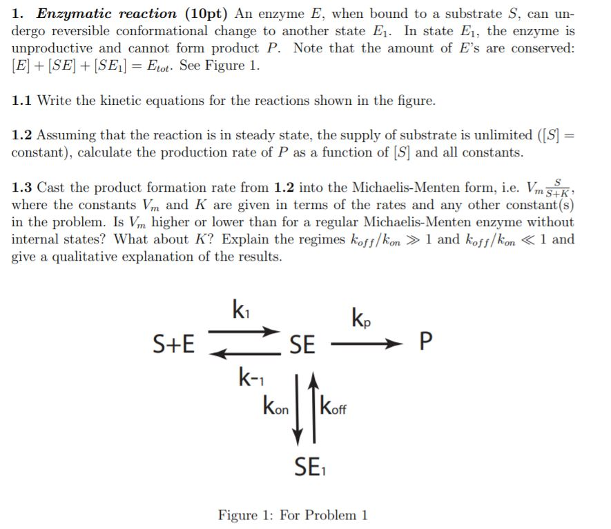 1. Enzymatic reaction (10pt) An enzyme E, when bound | Chegg.com