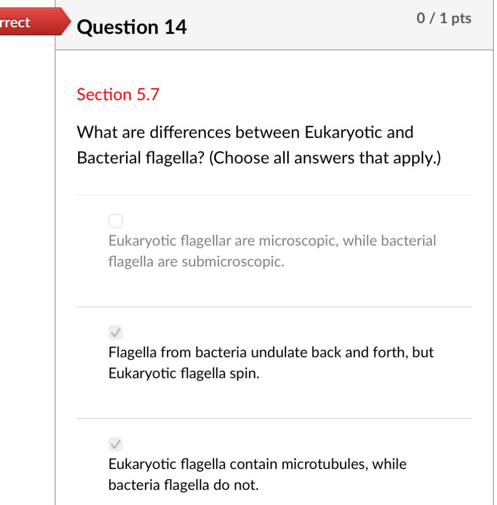 Solved What are differences between Eukaryotic and Bacterial | Chegg.com