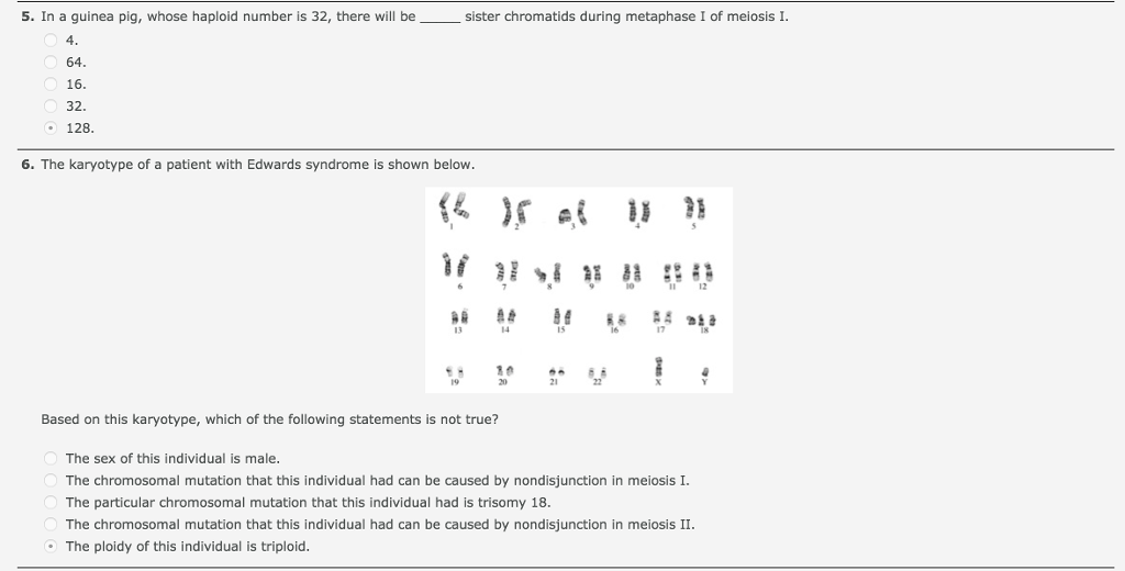 Solved Need help figuring out what I got wrong on this | Chegg.com