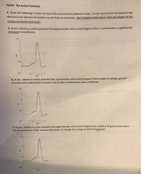 Solved Partill- The Action Potential. 4. Draw the following | Chegg.com